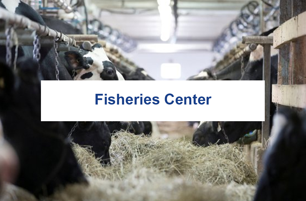 Dirección de Transferencia y Desarrollo | Fisheries Center - Dirección ...