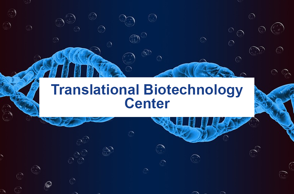 Dirección de Transferencia y Desarrollo | Translational Biotechnology ...